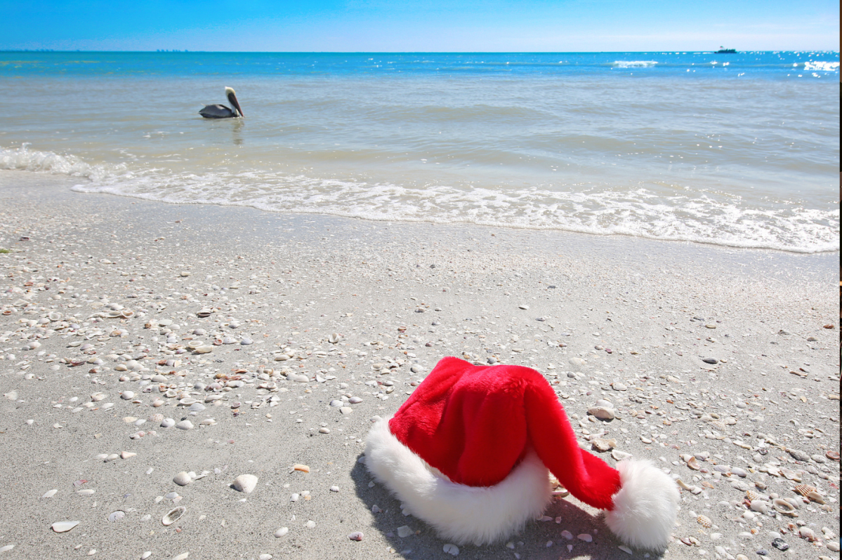The 16 Best Things to Do in Florida in Winter