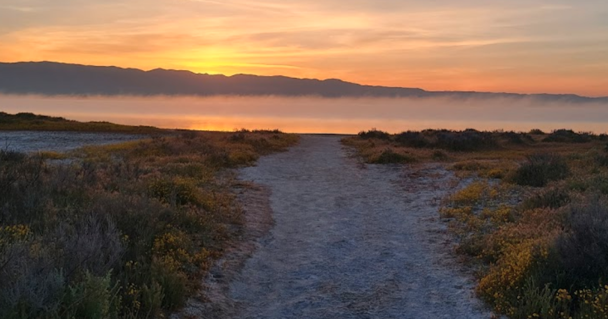 Explore This Secret Trail Around The Largest Natural Salt Lake In ...