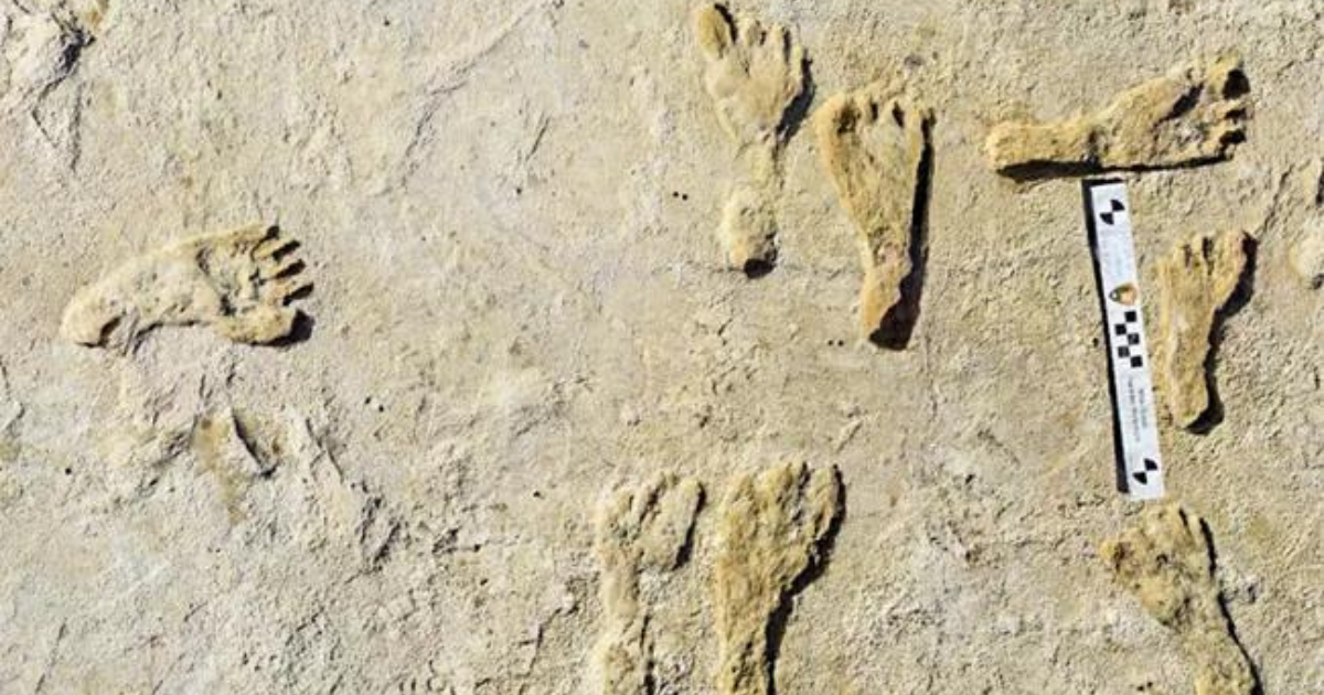 Oldest Human Footprints In North America: White Sands, NM