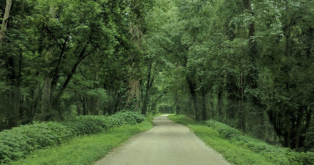 Kankakee Fish & Wildlife Area: Best Hike Near Hanna Indiana