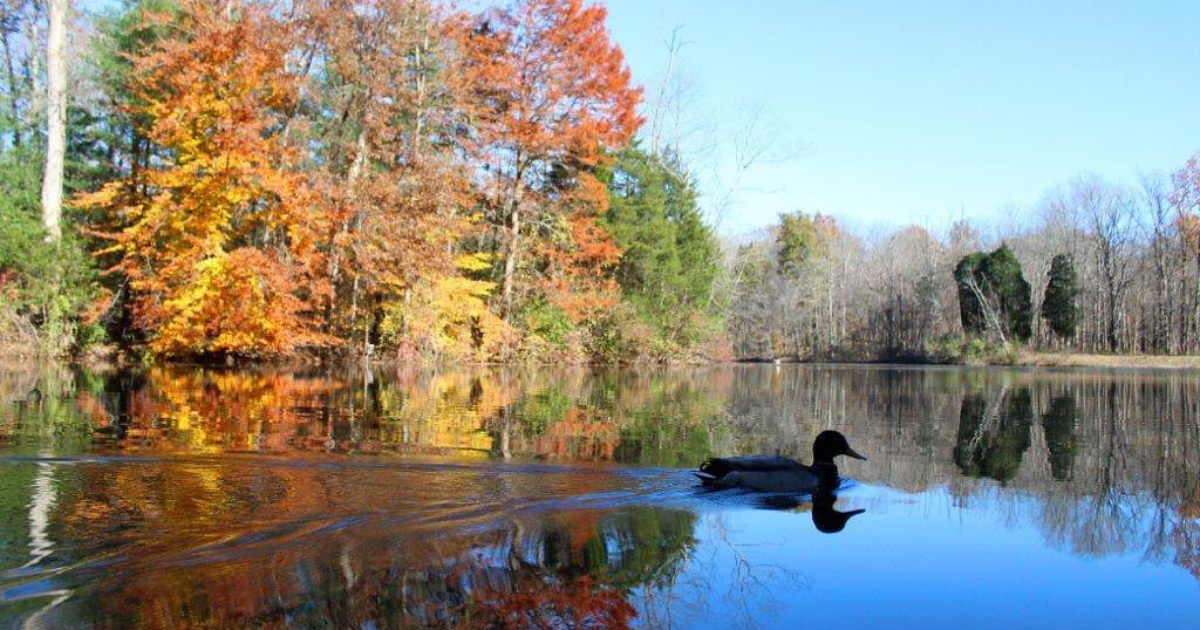 This Scenic Spot In Ohio Comes Alive With Color Come Fall
