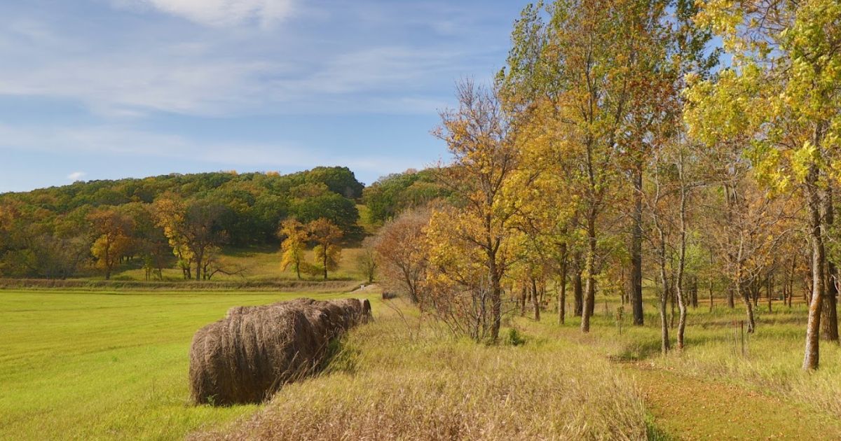 The Best Fall Foliage In North Dakota: Fort Ransom State Park