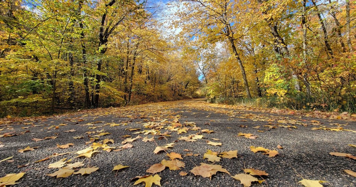 Sica Hollow State Park South Dakota fall foliage - State Parks