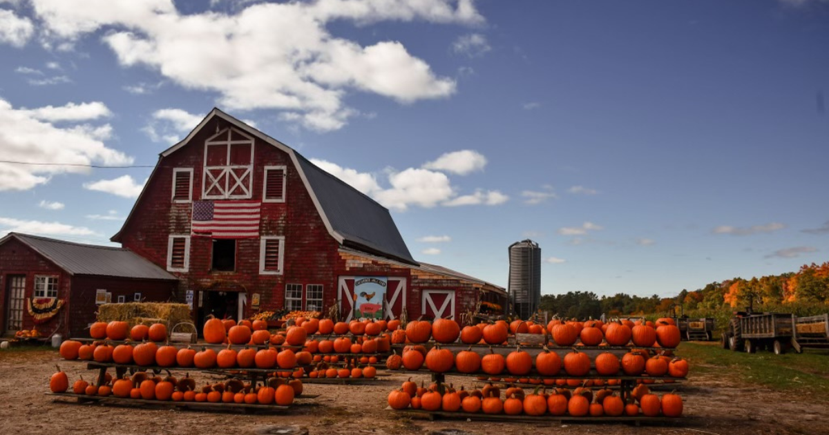 Here Are The 5 Absolute Best Pumpkin Patches In Rhode Island To Enjoy ...