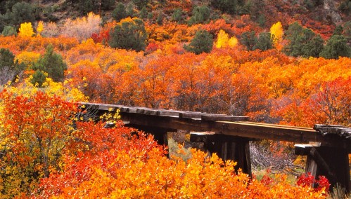 Visit Montrose, Colorado In The Fall