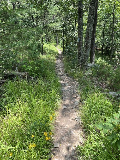 Hernandez Peak & McDill Point: Best Hike Near Birmingham, AL