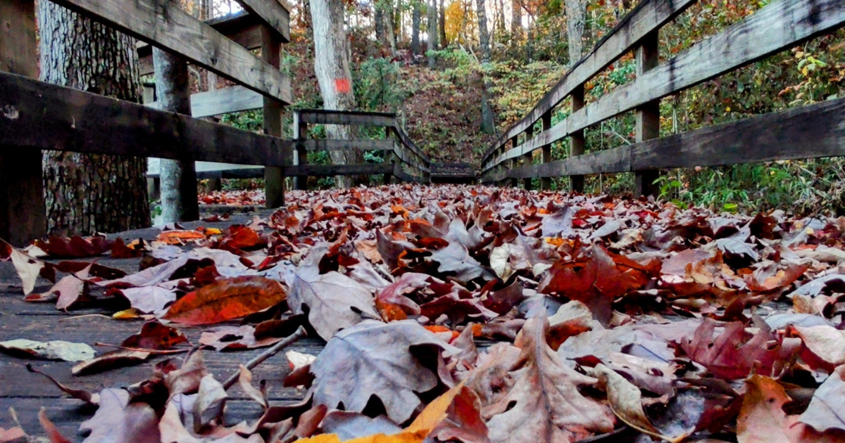 The Under-The-Radar Destination In Georgia With The Most Beautiful Fall ...