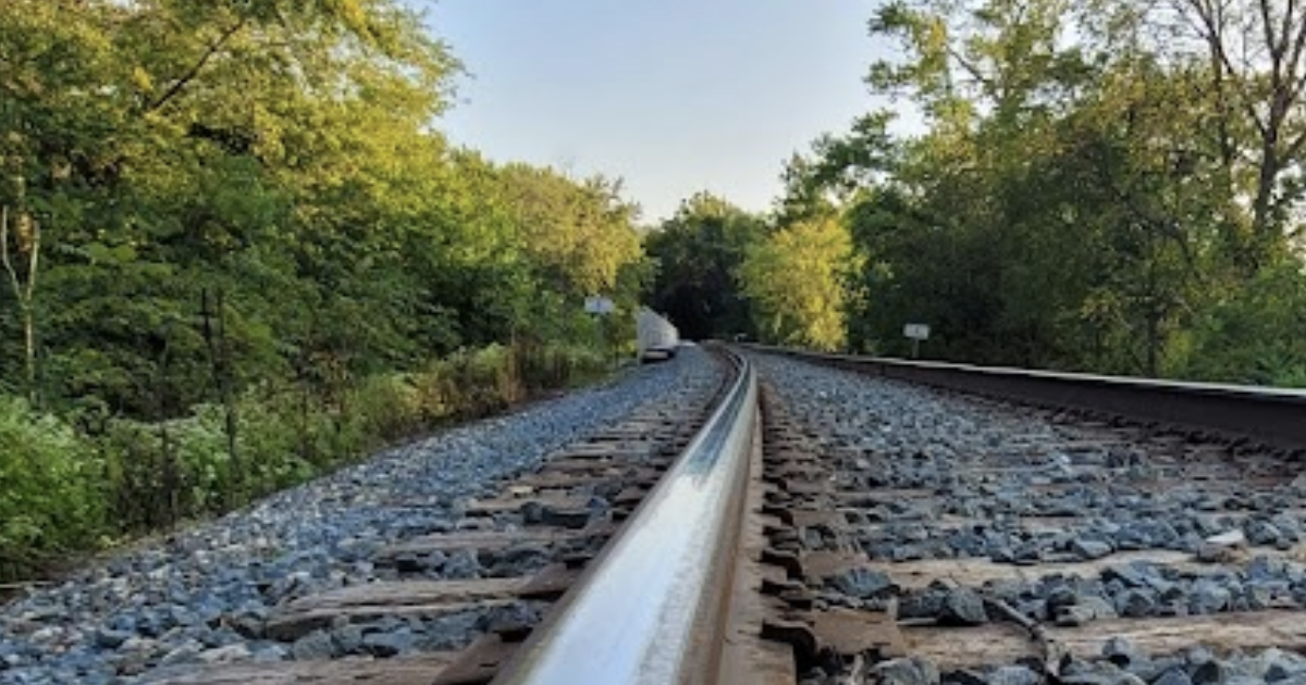 Experience Autumn With This Fall Foliage Train Ride In Michigan