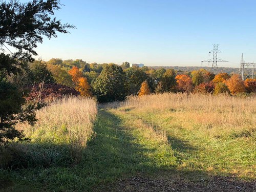 Find Some Of The Best Fall Foliage In Nebraska At This Arboretum