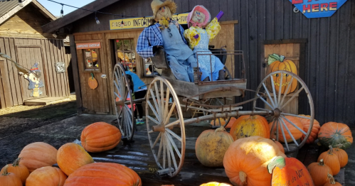 Roca Berry Farm: A Must-Visit Fall Festival in Nebraska