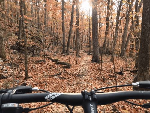 Monte Sano State Park In Huntsville: Best Fall Foliage In Alabama