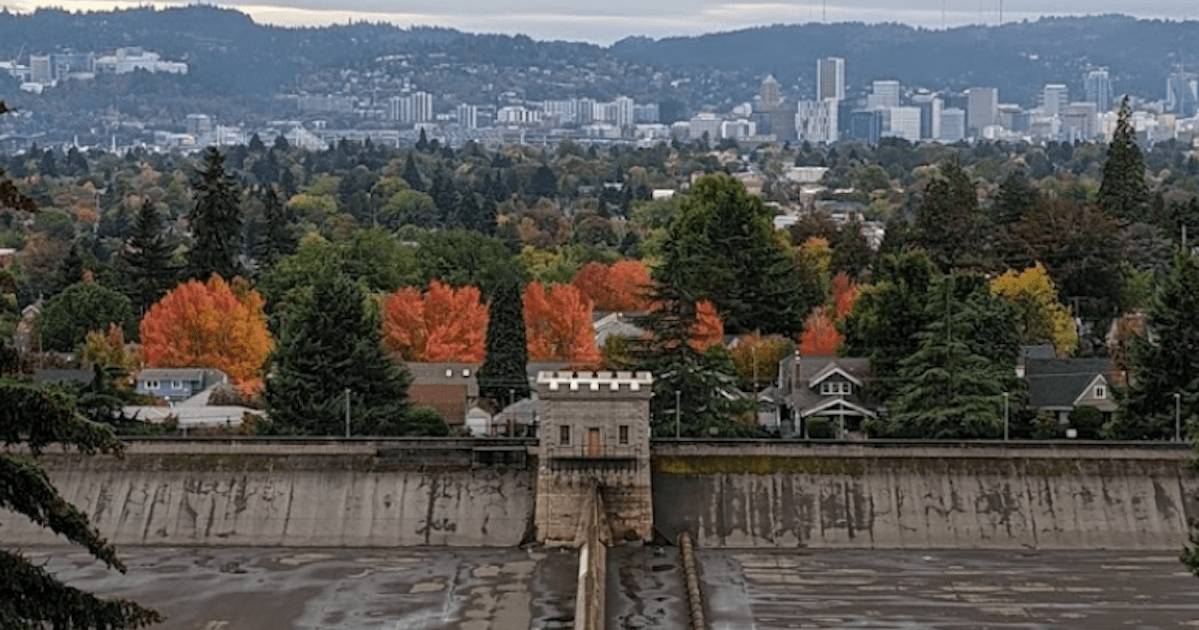 Mt. Tabor Park: The Surprising Spot To See Fall Colors In Oregon
