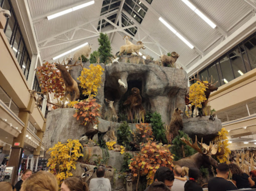 Massive Store Opening: SCHEELS In Chandler, Arizona