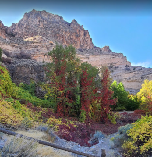 The State Park Where You Can View Great Fall Foliage In Nevada