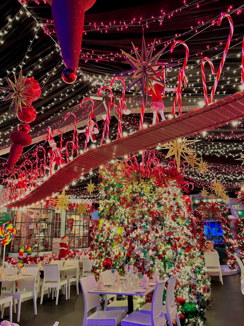 Experience Christmas Magic at Cava Restaurant in Connecticut