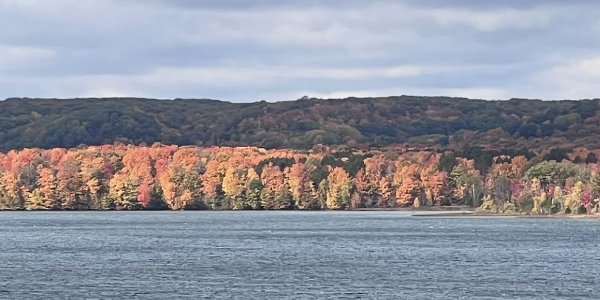 View Stunning Fall Foliage At Manistee National Forest In Michigan