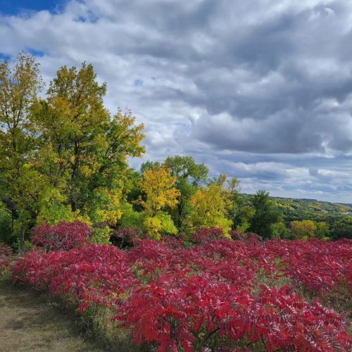 The Best Fall Foliage In North Dakota: Fort Ransom State Park