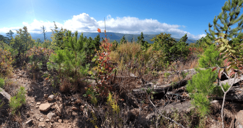 Horsethief Spring Trail Leads To Beautiful Fall Views In Oklahoma