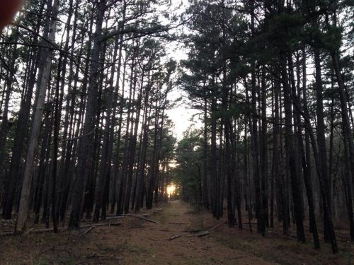 Horsethief Spring Trail Leads To Beautiful Fall Views In Oklahoma