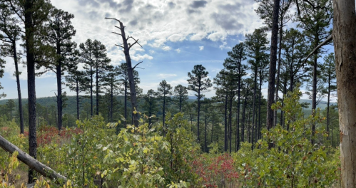 Horsethief Spring Trail Leads To Beautiful Fall Views In Oklahoma