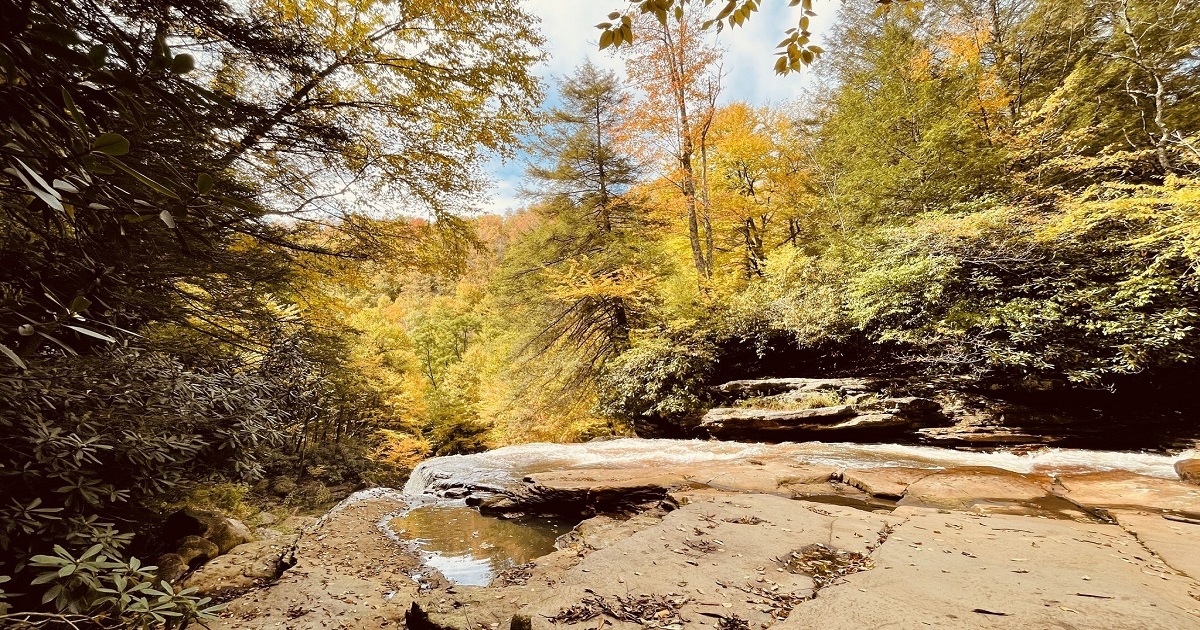 Discover Blackwater Canyon's Stunning Fall Colors