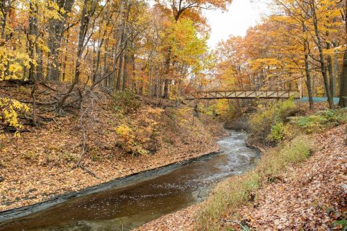 Best Fall Hike In The Cleveland Metroparks: Eastern Ledge Trail
