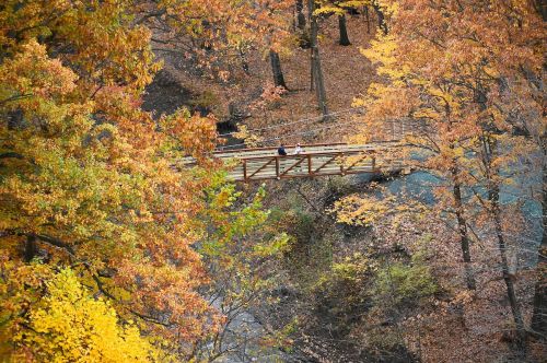 Best Fall Hike In The Cleveland Metroparks: Eastern Ledge Trail