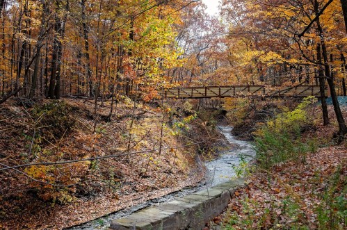 Best Fall Hike In The Cleveland Metroparks: Eastern Ledge Trail