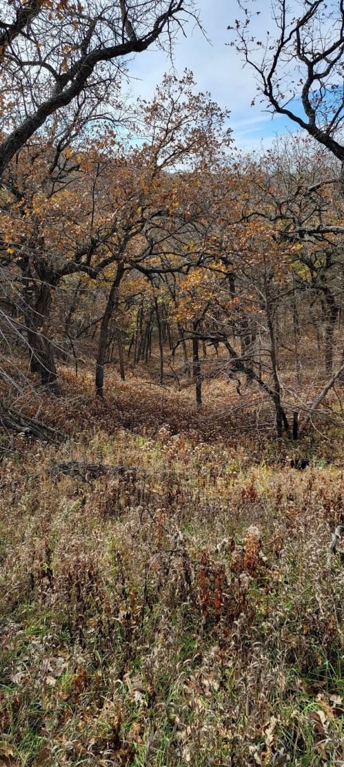 A Scenic Spot In Nebraska That Comes Alive With Color Come Fall
