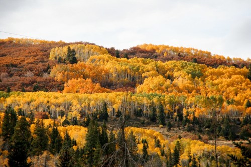 Duck Creek Village: Under-The-Radar Destination in Utah to View Fall ...