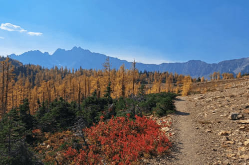 Explore Eatonville, WA: A Charming Small-Town Getaway Near Mount Rainier