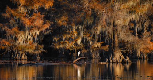 The 12 Best Things To Do In Louisiana In This Fall