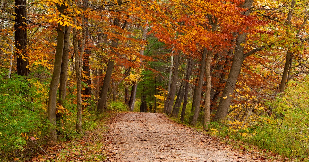 The Under-The-Radar Place In Ohio With Beautiful Fall Foliage
