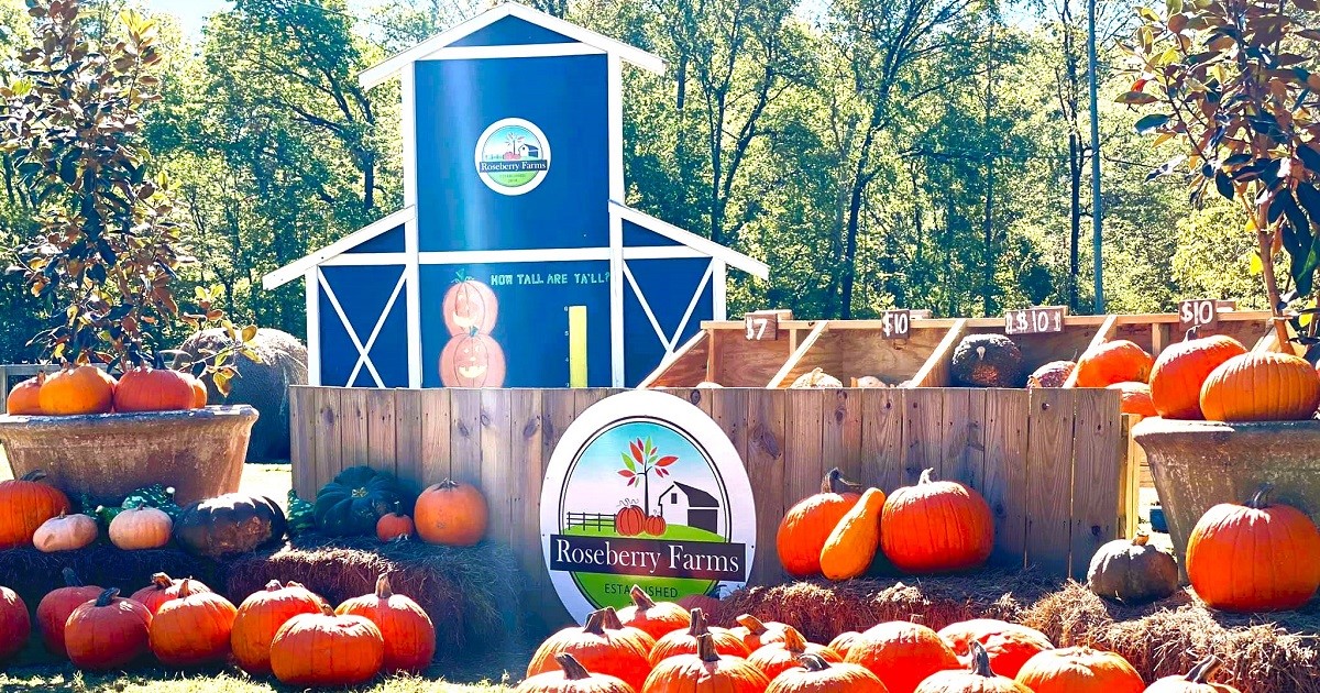 Best Fall Day Trip In Arkansas: Pumpkin Patch And Cafe In Benton