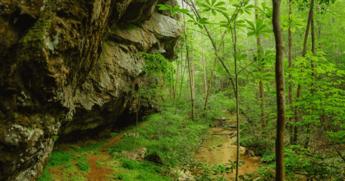 The 5 Clearest Lakes in Kentucky for Swimming This Summer