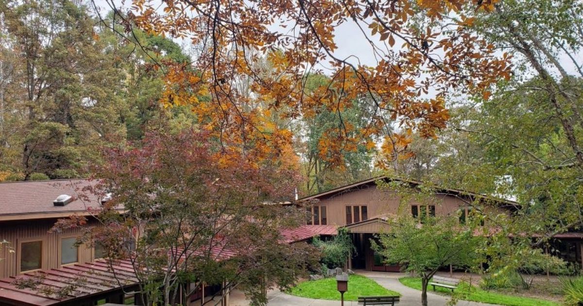 The Unique State Park Where You Can View The Best Fall Foliage In North ...