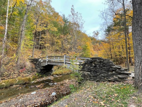 Stony Brook: Best State Park For Fall Foliage In The Finger Lakes
