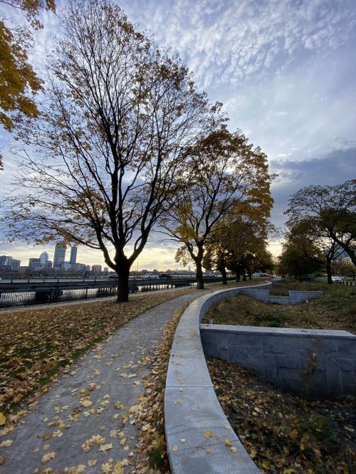 Charles River Pathway Short Loop: Easy Hike in Boston, MA