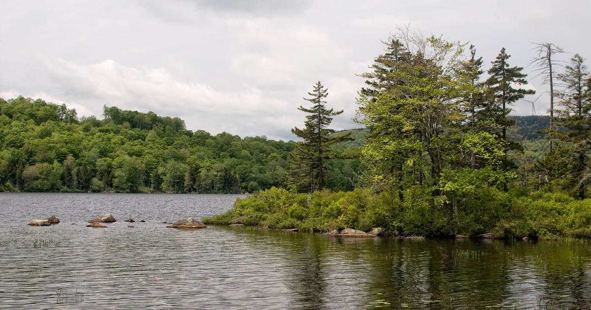Take A Tour Of Pillsbury State Park's Scenic New Hampshire Ponds