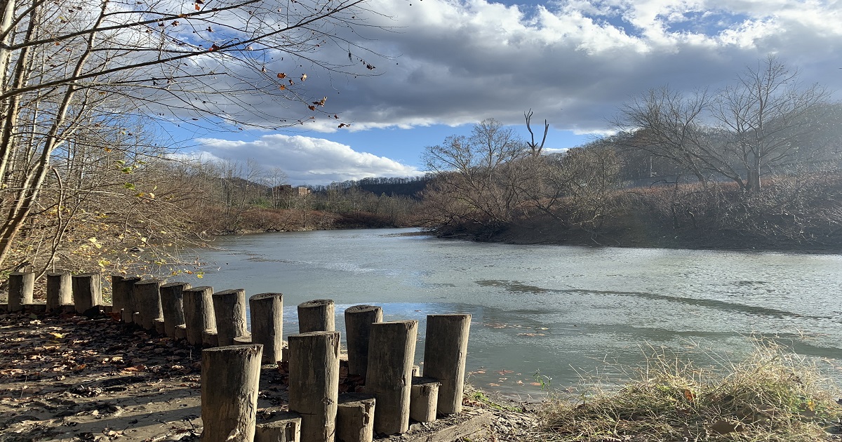 Tug Fork River Trail: Best Hike Near Williamson, West Virginia