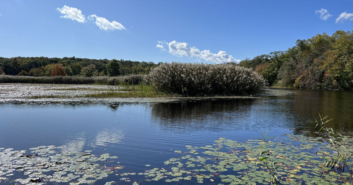 The Charming Community Of Hopkinton, Rhode Island