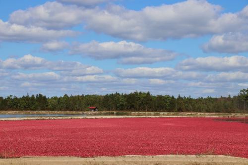 15 Amazing Natural Wonders In New Jersey That Defy Explanation