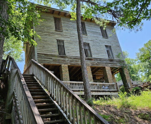 Discover Dunn's Falls: Mississippi's Hidden Waterfall Gem