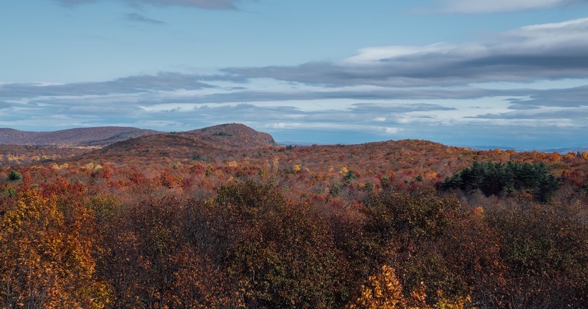 Stokes State Forest Is Holding An Organized Hike In New Jersey