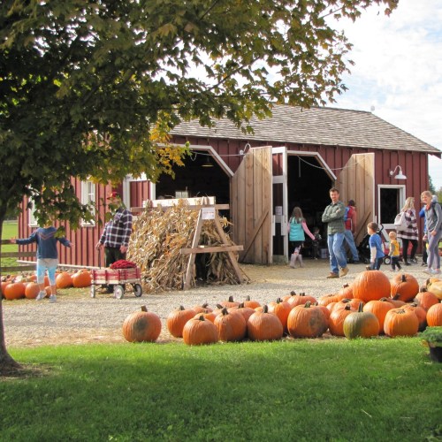 Visit Wagner Farm, A Historic Dairy Farm In Glenview, Illinois