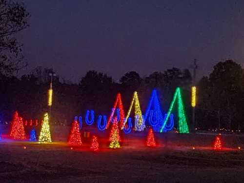 Check Out This Amazing Holiday Light Show In Doswell VA