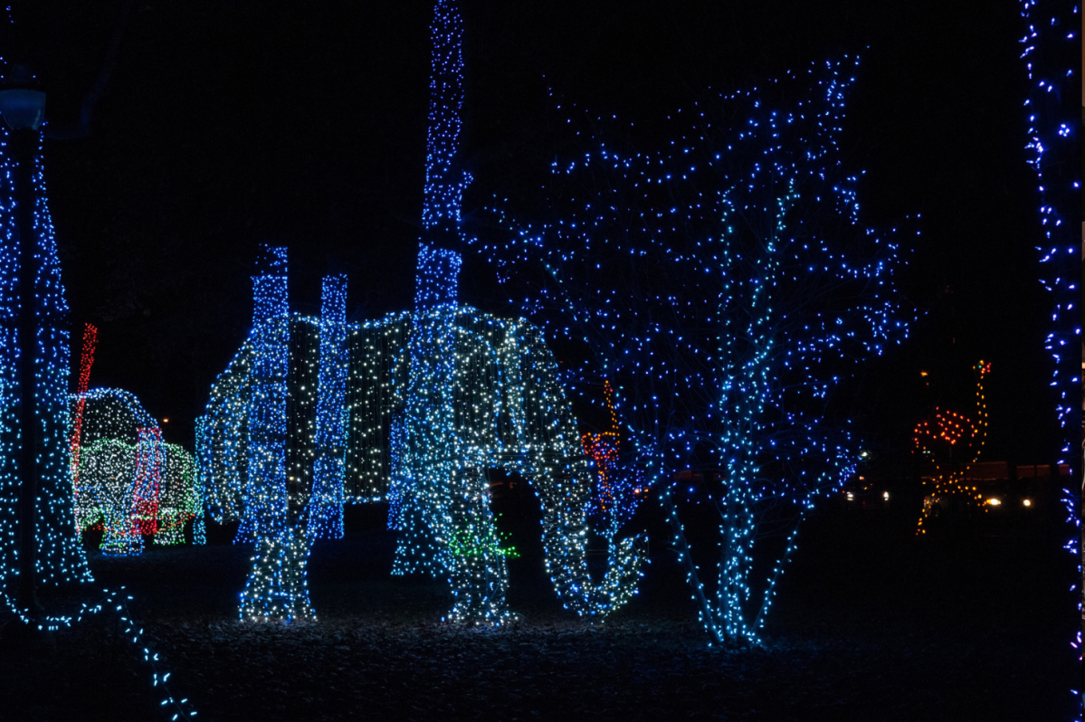 Best Christmas Lights in Michigan: 9 Magical Holiday Displays