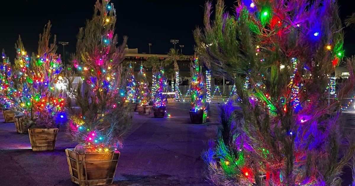 7 Christmas Light Displays In Nevada That Are Pure Holiday Magic