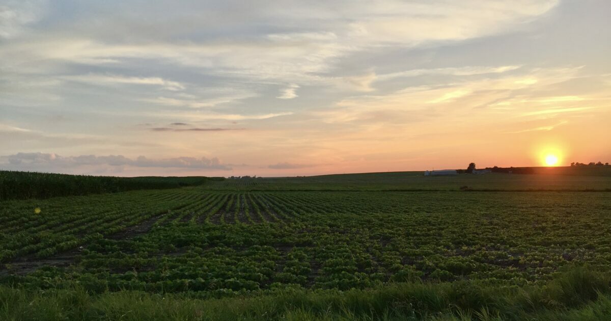 Take A Scenic Drive Through The Countryside In Kingston, Illinois