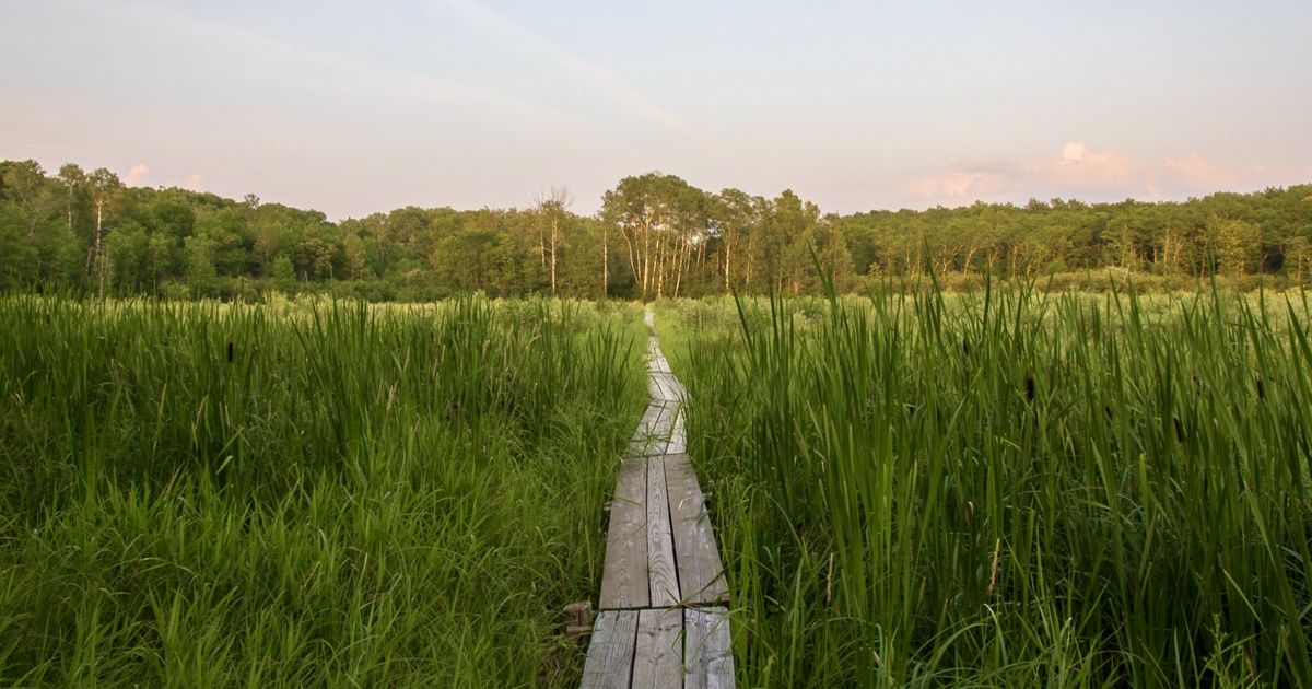 Walk Into The Past On This Historic Trail In Minnesota